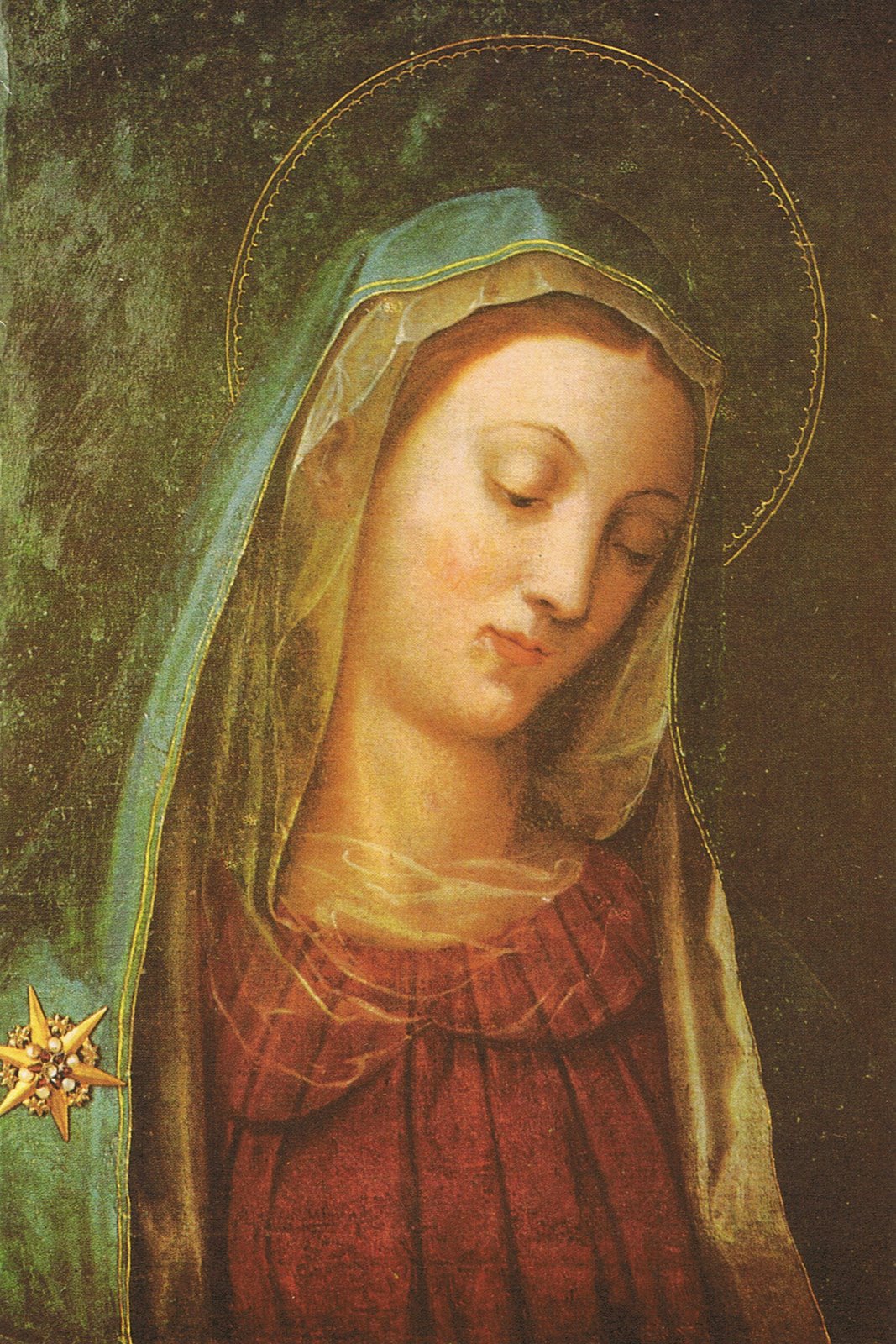 Our Lady, Mother of Divine Grace – Reflections on the Sacred Liturgy