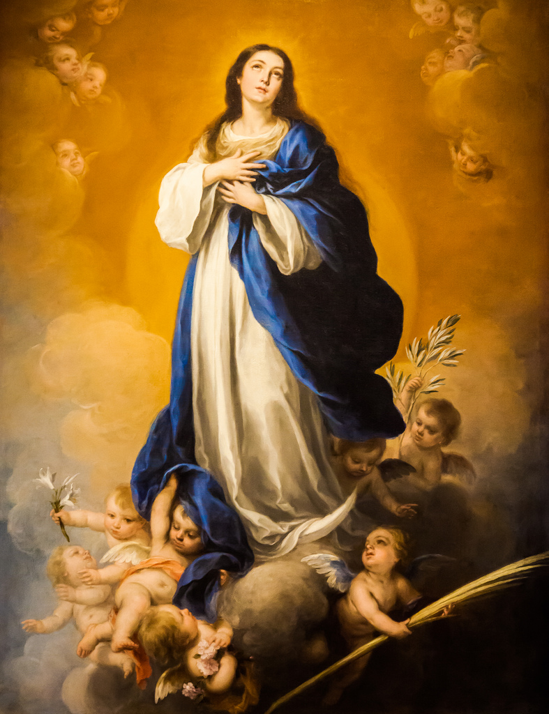 The Immaculate Conception – Reflections on the Sacred Liturgy